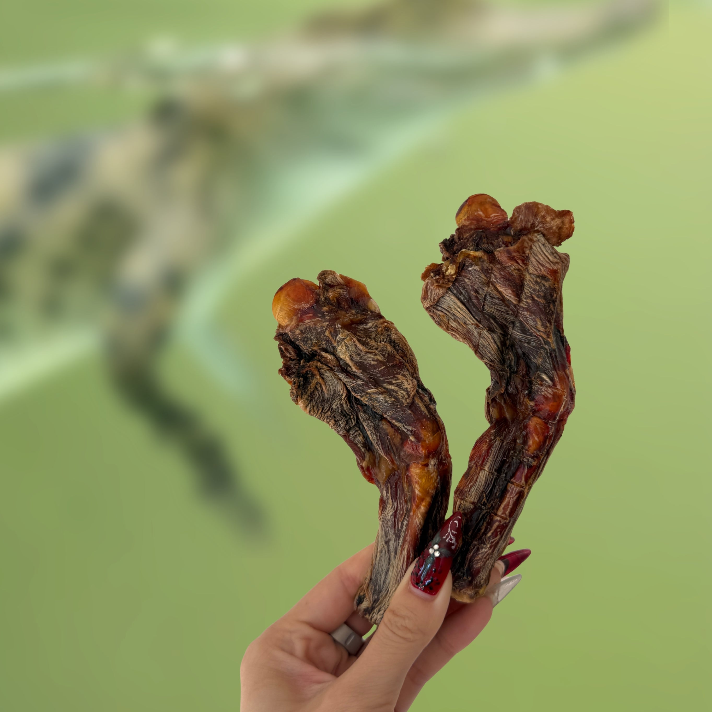 Gator Chews – Wulf Snacks