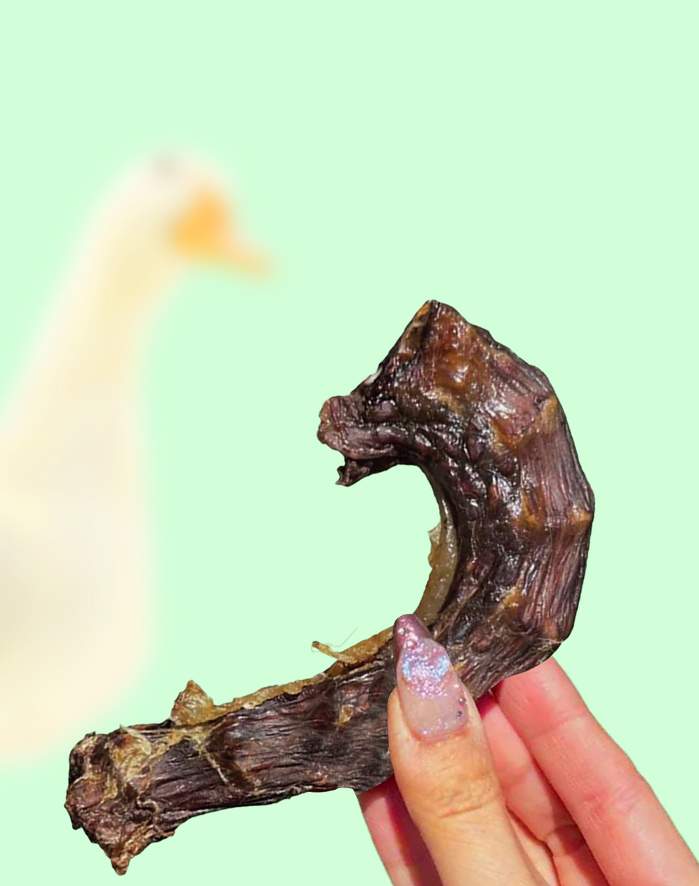Duck Neck Chews – Wulf Snacks