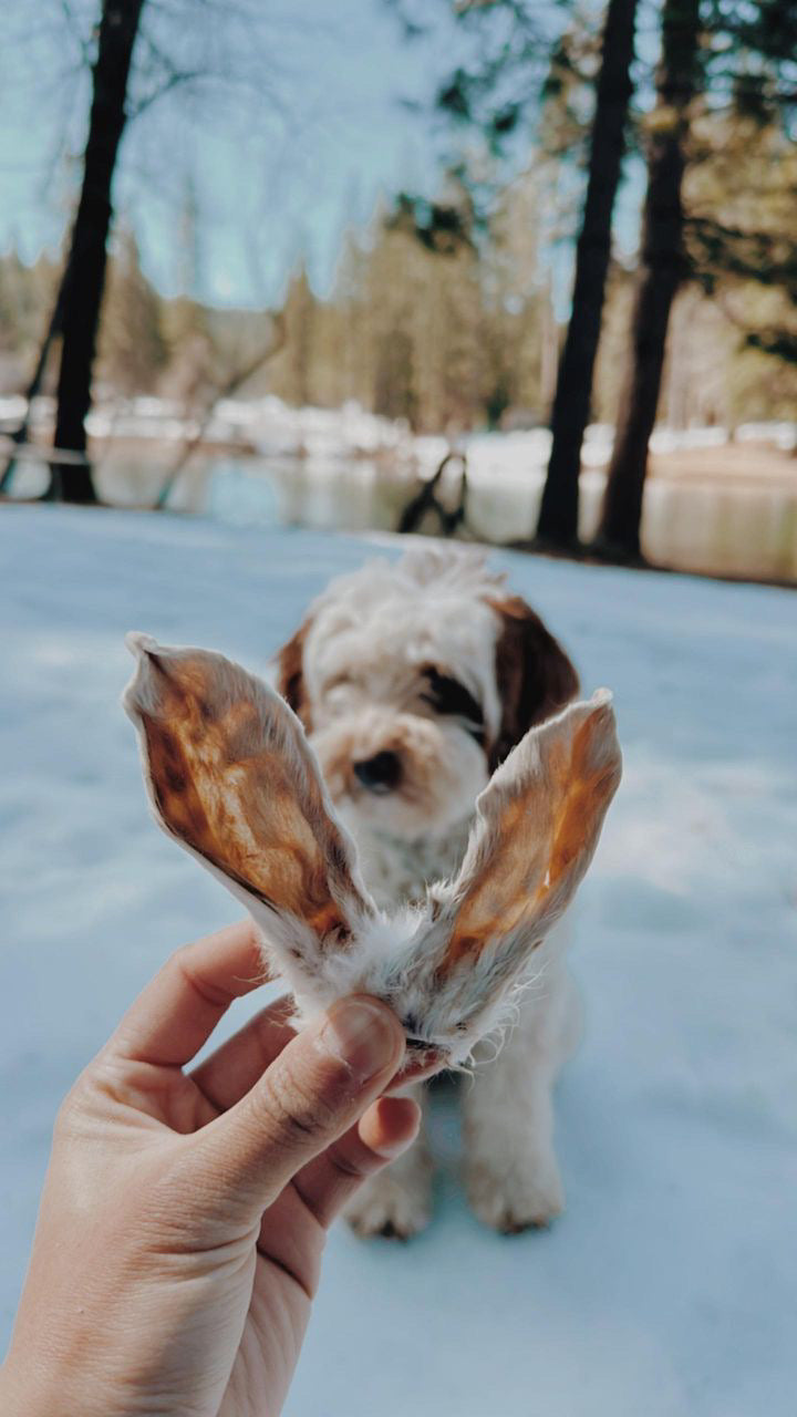 Fuzzy Rabbit Ears – Wulf Snacks